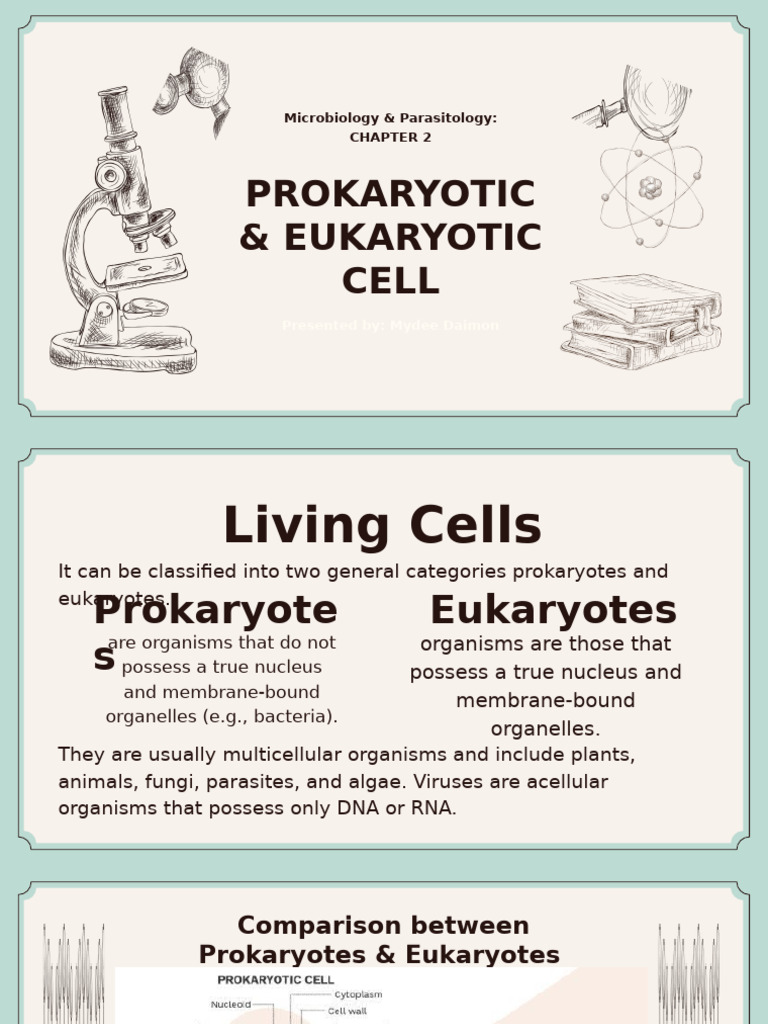 Chapter 2 Prokaryotic and Eukaryotic Cells | PDF | Cell (Biology ...