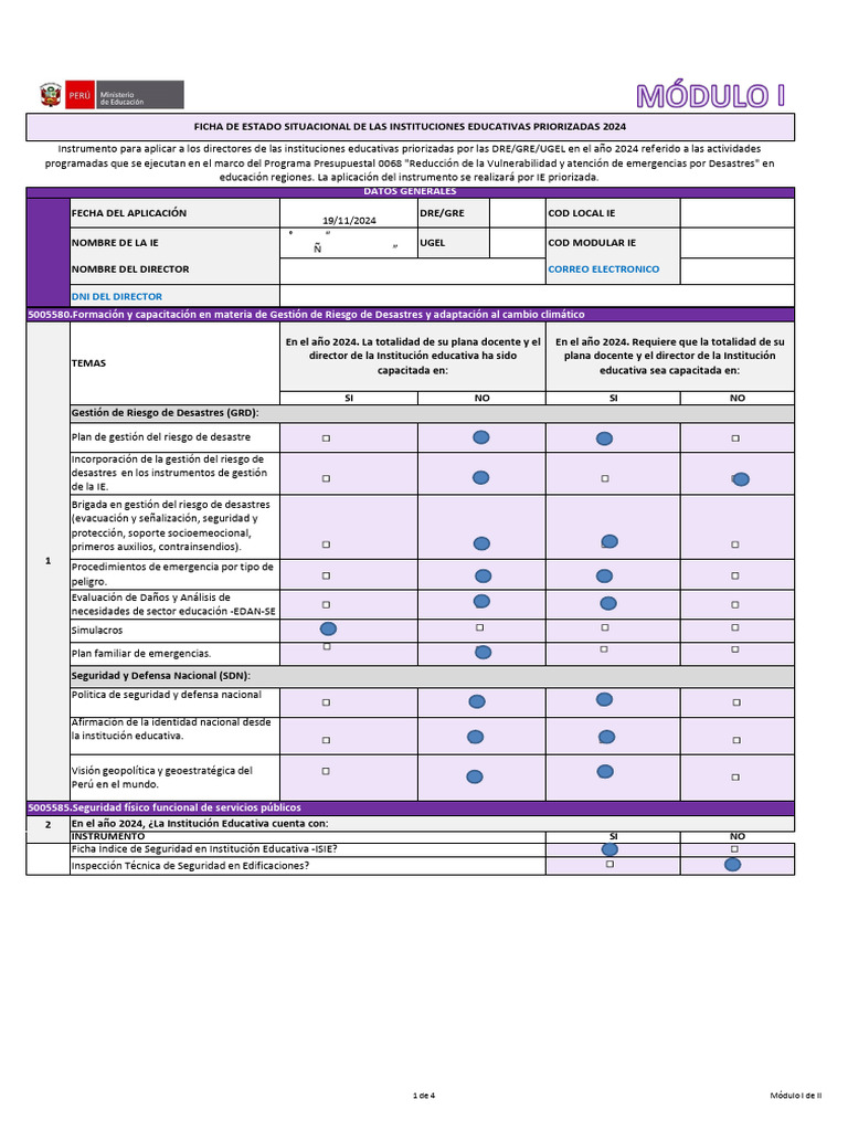 Formato Ficha Situacional IE Priorizada 2024 (Módulo 1 y 2) | PDF