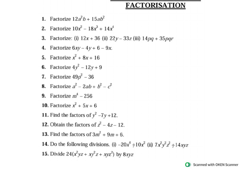 Class 8 (Factorisation) | PDF