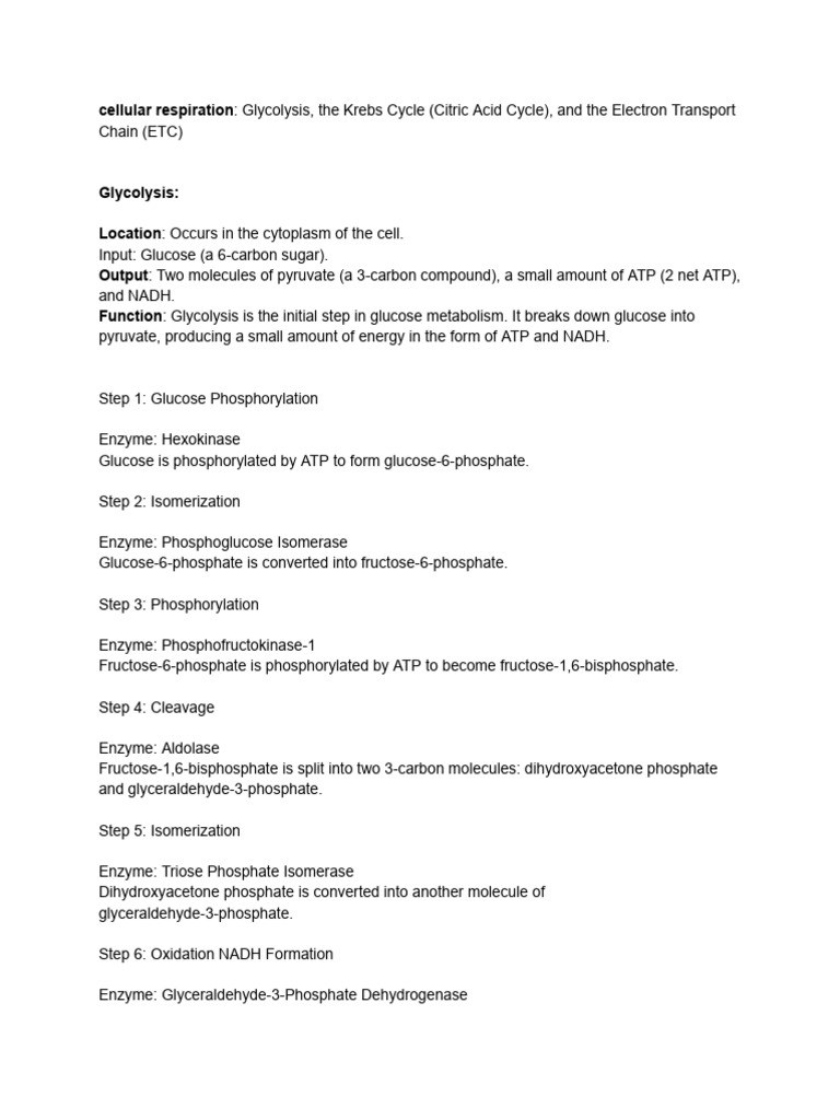 Cellular Respiration Overview: Glycolysis to ETC | PDF | Glycolysis ...