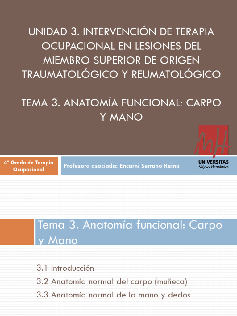 Anatomía Funcional del Carpo y Mano | PDF | Mano | Sistema ...