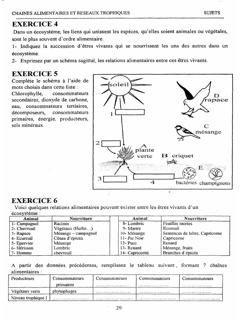 relations trophiques chaines alimentaire-exercice4-6 | PDF