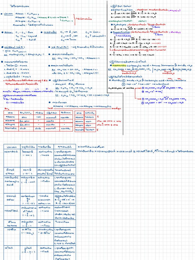 Untitled Notebook (1) | PDF
