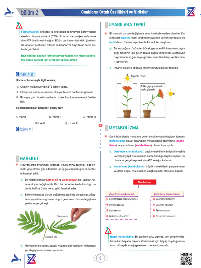 9.Sinif Biyoloji Canlilarin Ortak Ozellikleri Ve Virusler Yeni Mufredat Konu Anlatimi Zeduva | PDF