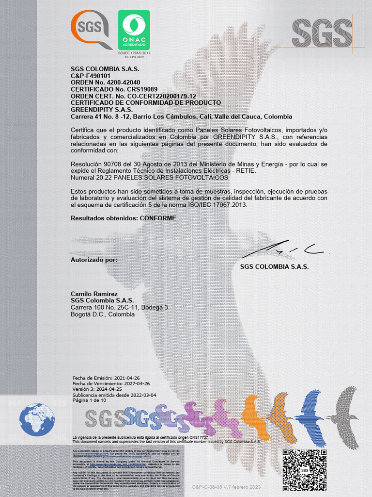 DSS - CRS19089 Risen Panel | PDF | Solar Panel | Renewable Electricity