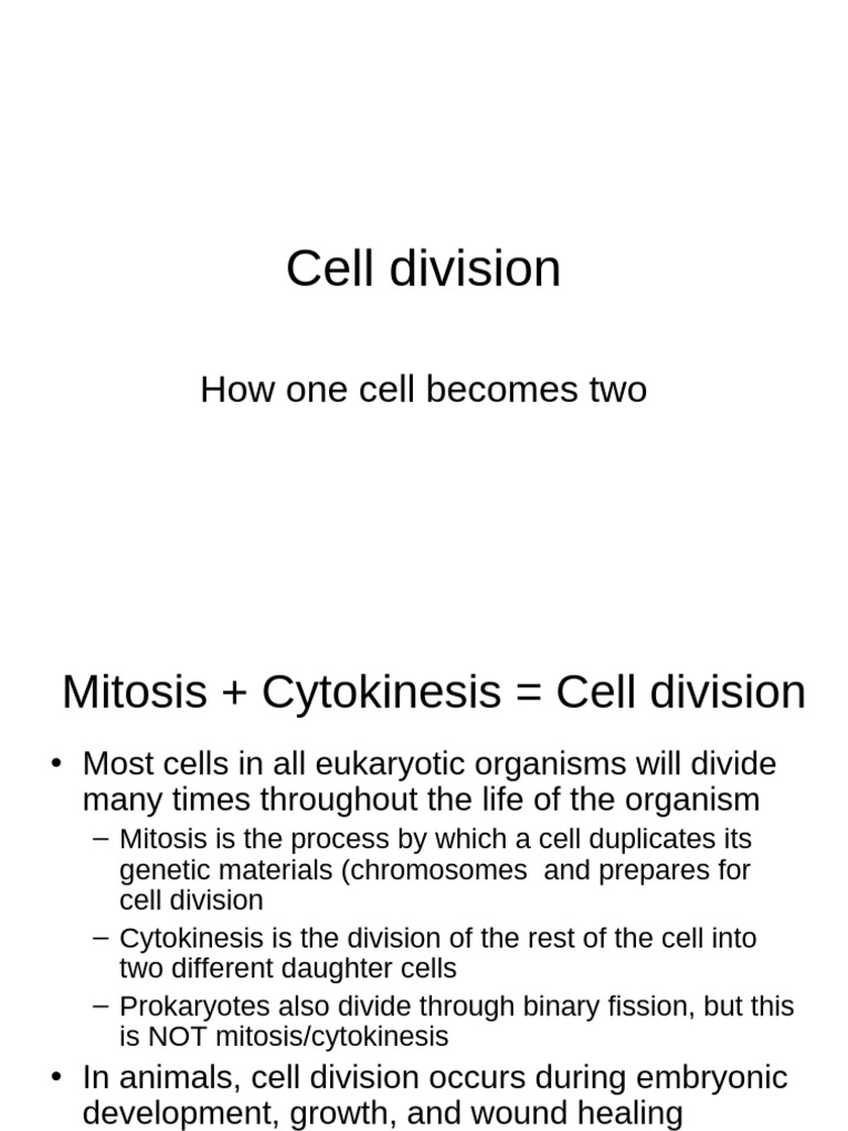 Cell Division | PDF | Mitosis | Chromosome
