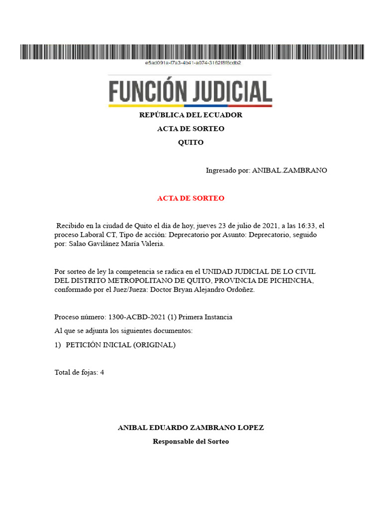 Acta de Sorteo | PDF