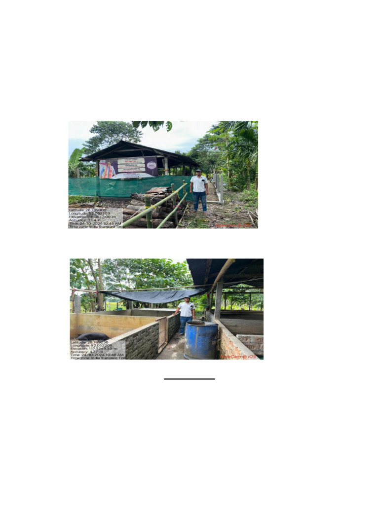 Anku Daimari Pig Farm Details | PDF