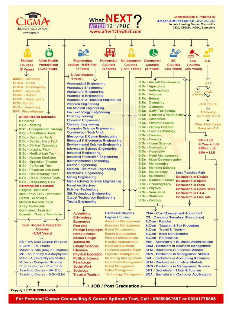 10084-Career Chart Afte 12th | PDF