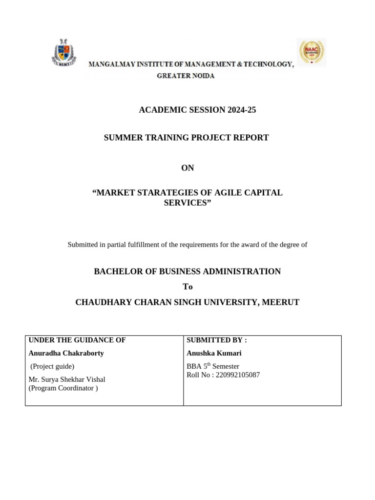 Market Starategies of Agile Capital Services | PDF | Customer ...