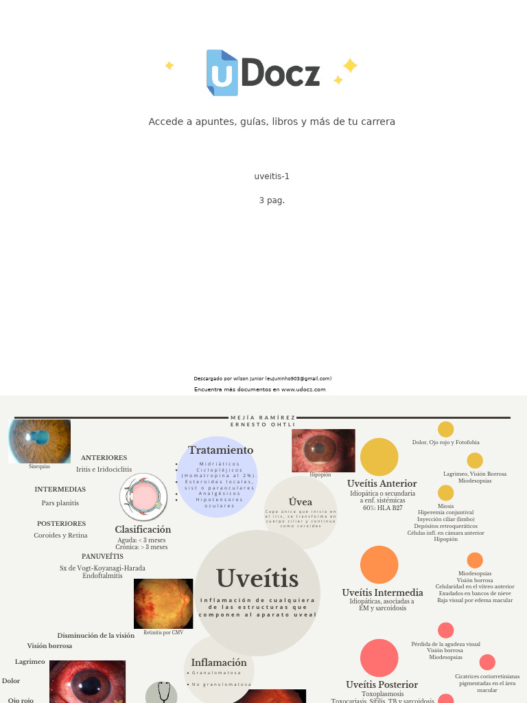 Guía Completa sobre Uveítis y Tratamientos | PDF | Ojo humano ...