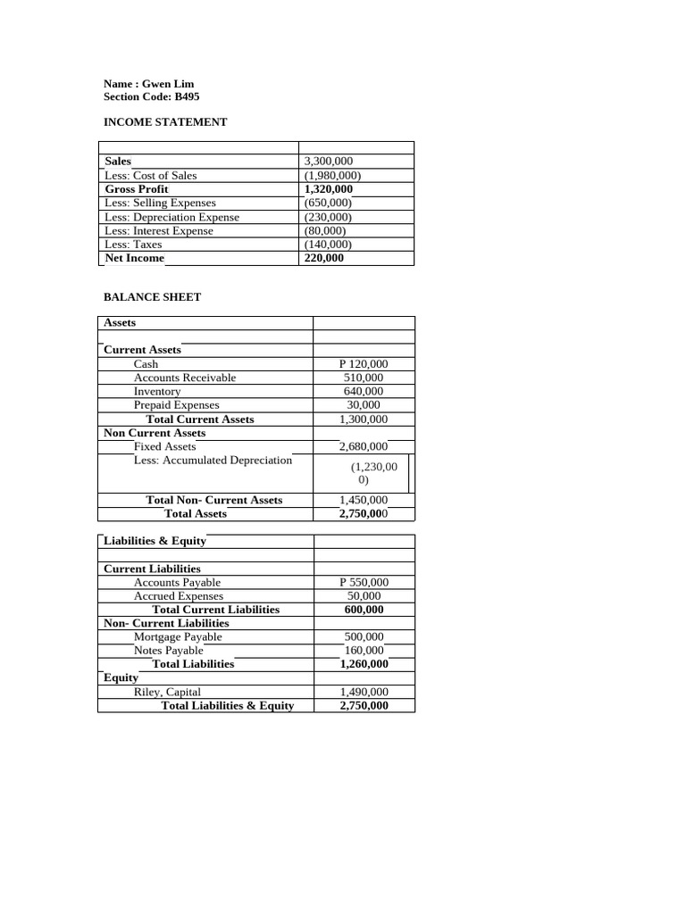Income Statement and Balance Sheet (Lim) | PDF