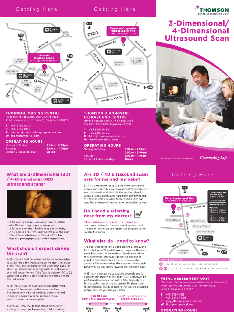 Brochure 3D4D Ultrasound Scan | PDF