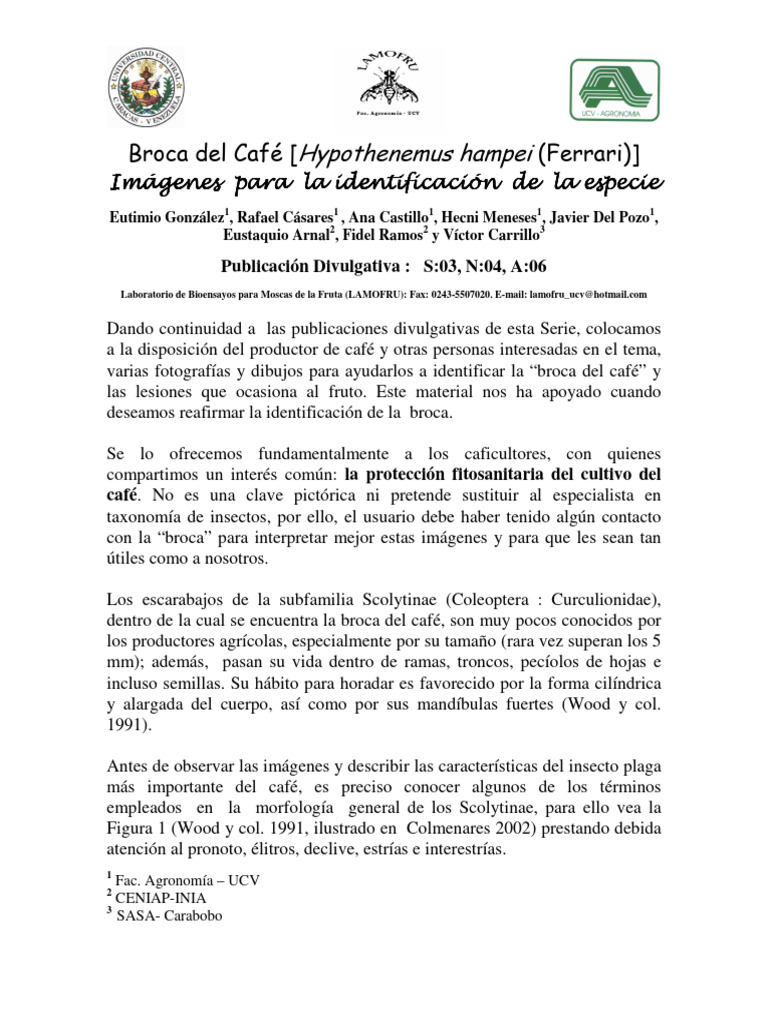 Identificación de la Broca del Café | PDF | café | Insectos