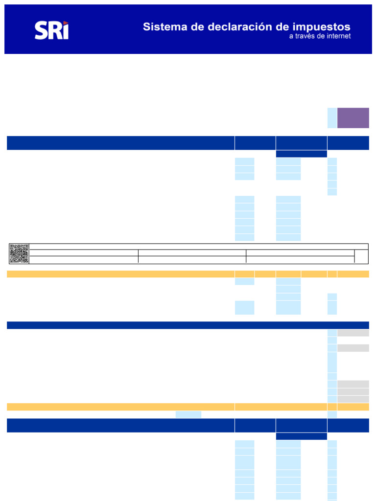 Declaración IVA Fundación 2024 | PDF | Impuesto al valor agregado | Impuestos