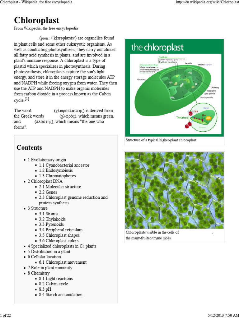 Chloroplast - Wikipedia, The Free Encyclopedia | PDF | Chloroplast ...