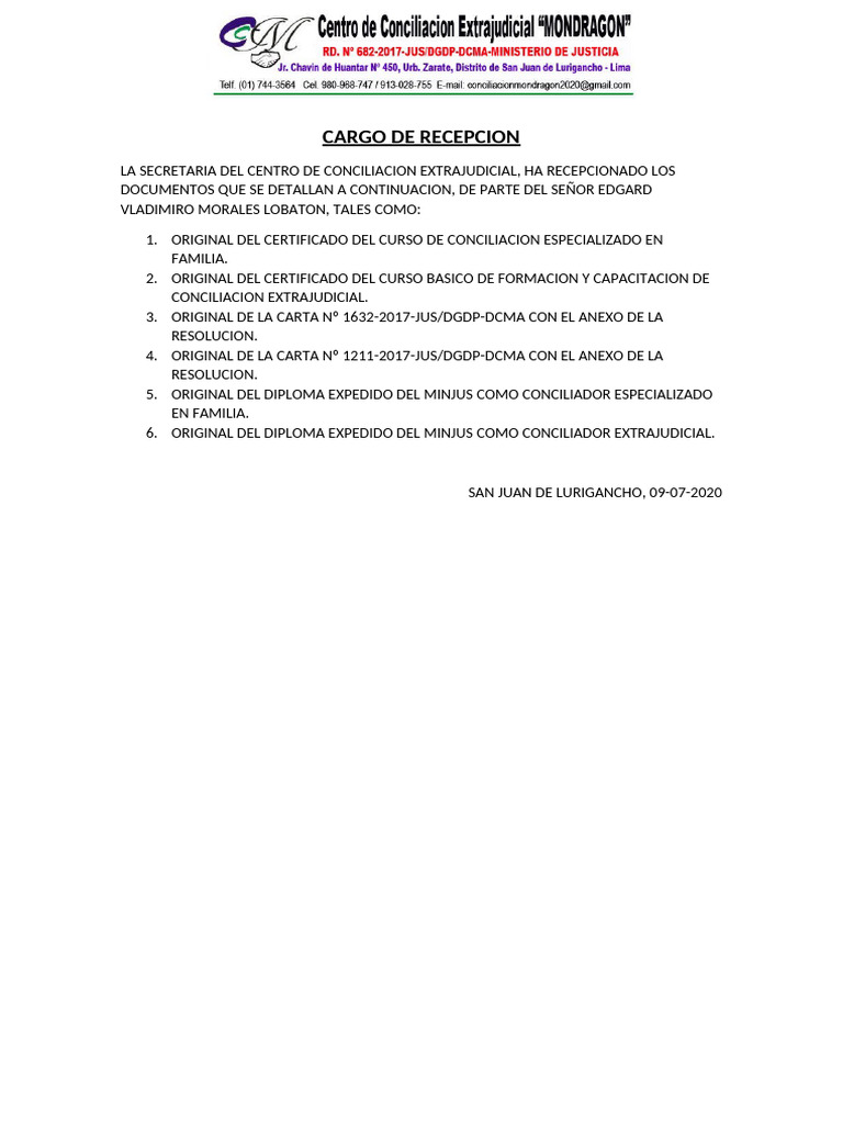 CARGO DE RECEPCION DE DOCUMENTO - Generico 2 | PDF