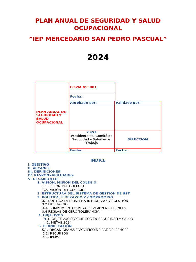 Plan Anual de Seguridad y Salud Ocupacional 2024 | PDF | La seguridad informática | Seguridad