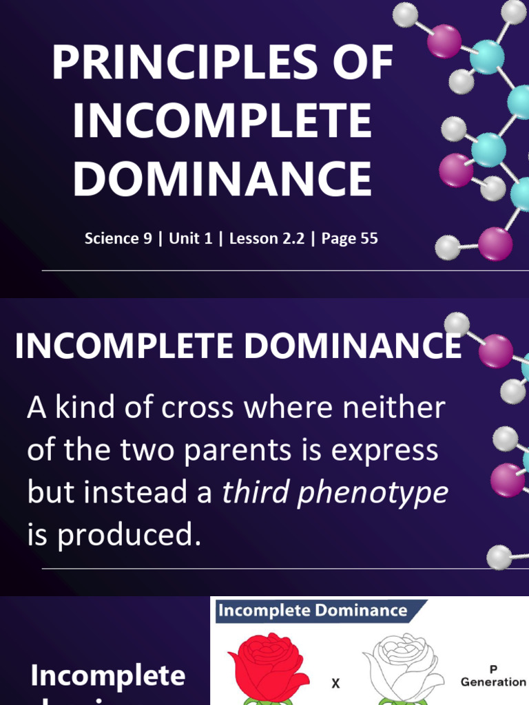 Lesson 2.2 Incomplete Dominance | PDF