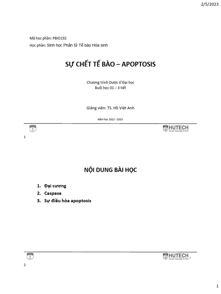 SHPTTBHS B01 Apoptosis - SV | PDF
