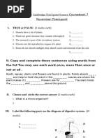 WS - Biology Grade 8 | PDF | Respiratory System | Breathing