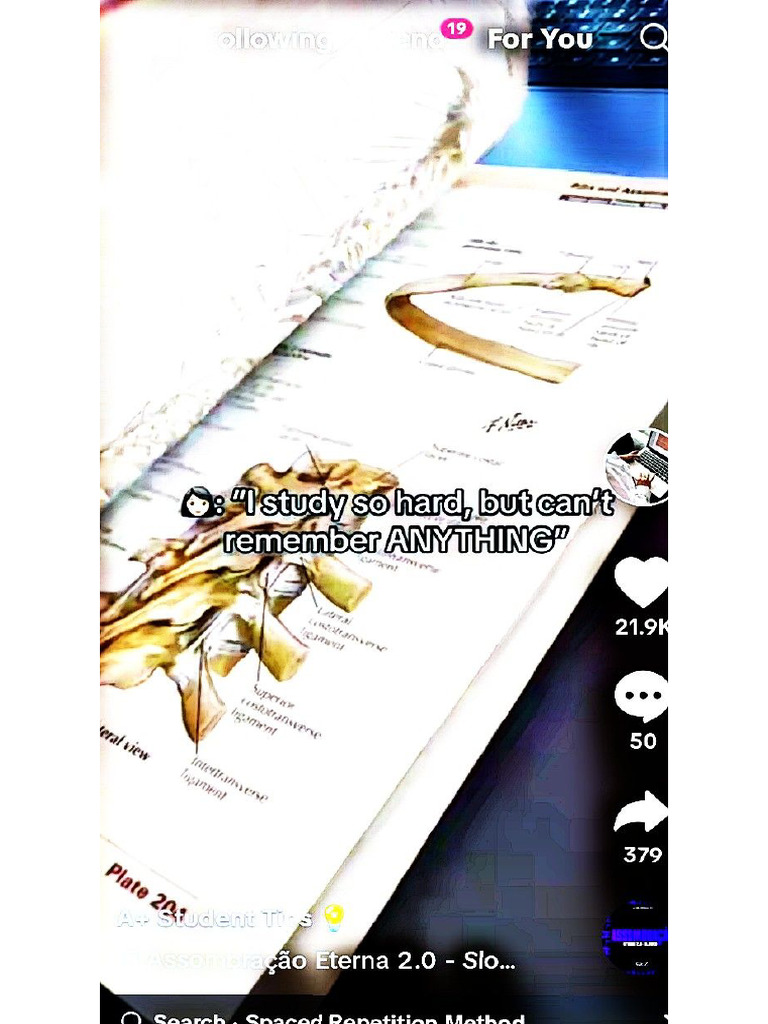 PDFReader 20241216 1717 | PDF