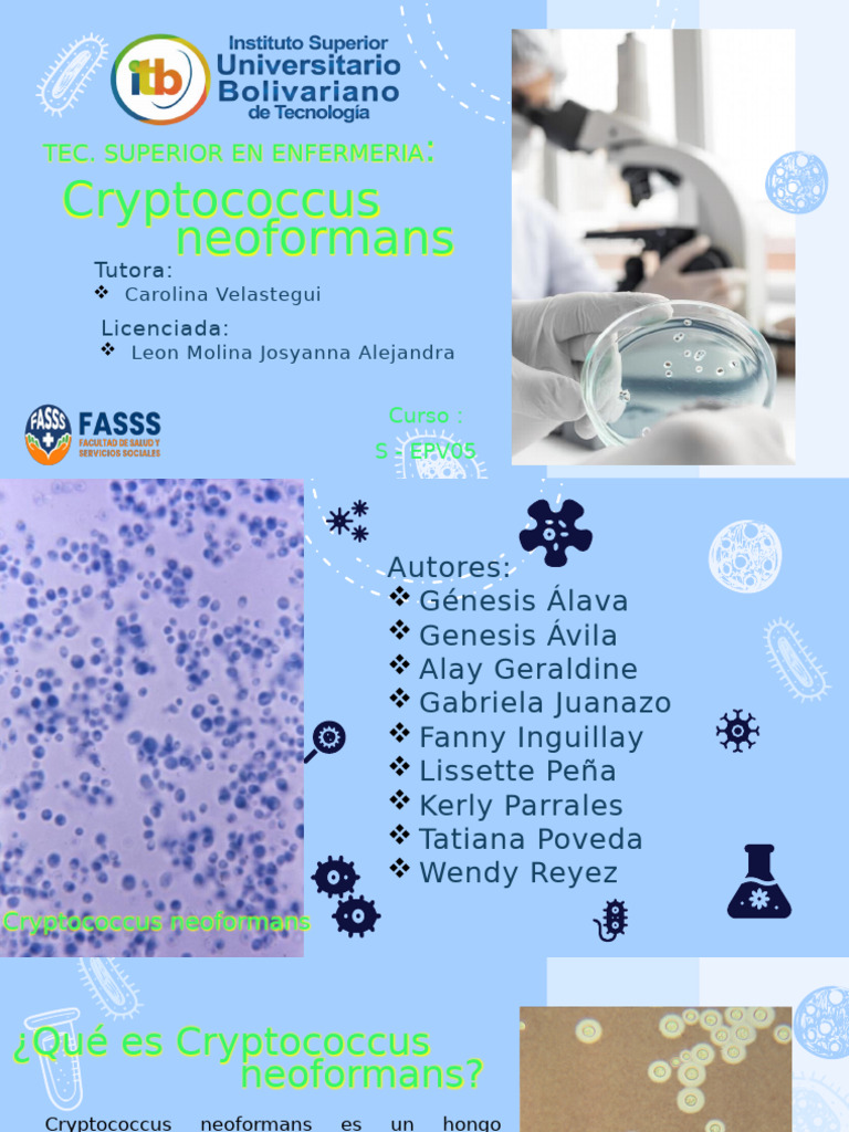 Cryptococcus Neoformans | PDF | Meningitis | Terapia