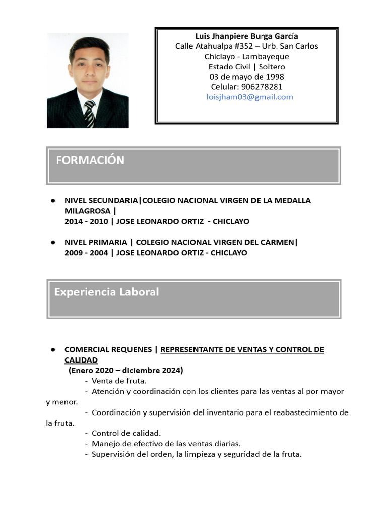 Curriculum-Luis Jhanpiere | PDF