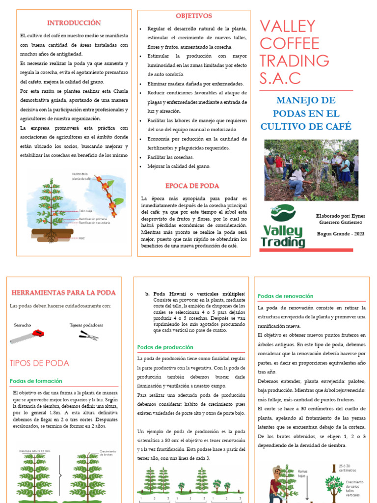 VTRADING - 165 Triptico de Tipos de Poda | PDF | Agricultura | café