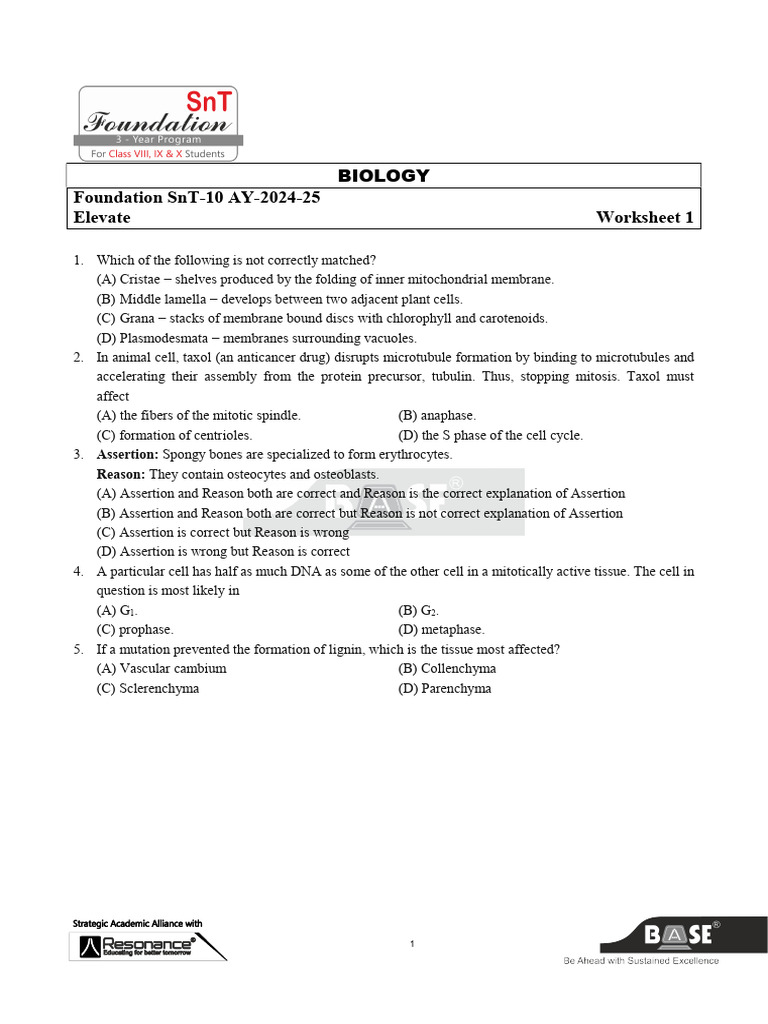 Elevate - Biology Worksheet 1 Q | PDF | Mitosis | Photosynthesis