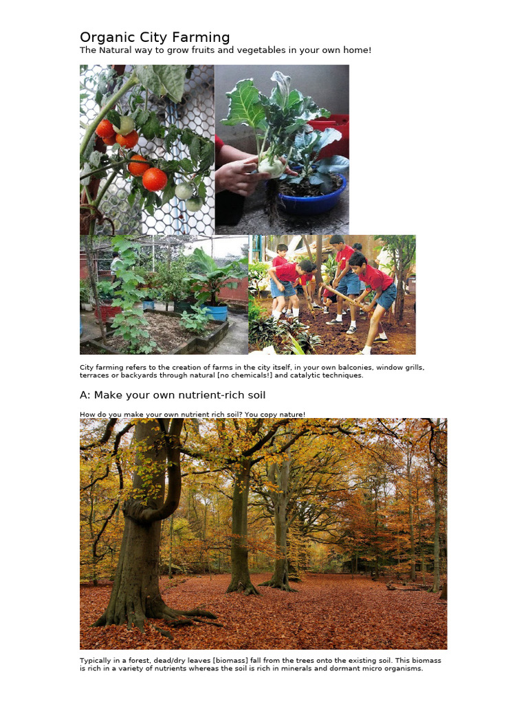 Urban Organic Farming Techniques | PDF | Mulch | Soil