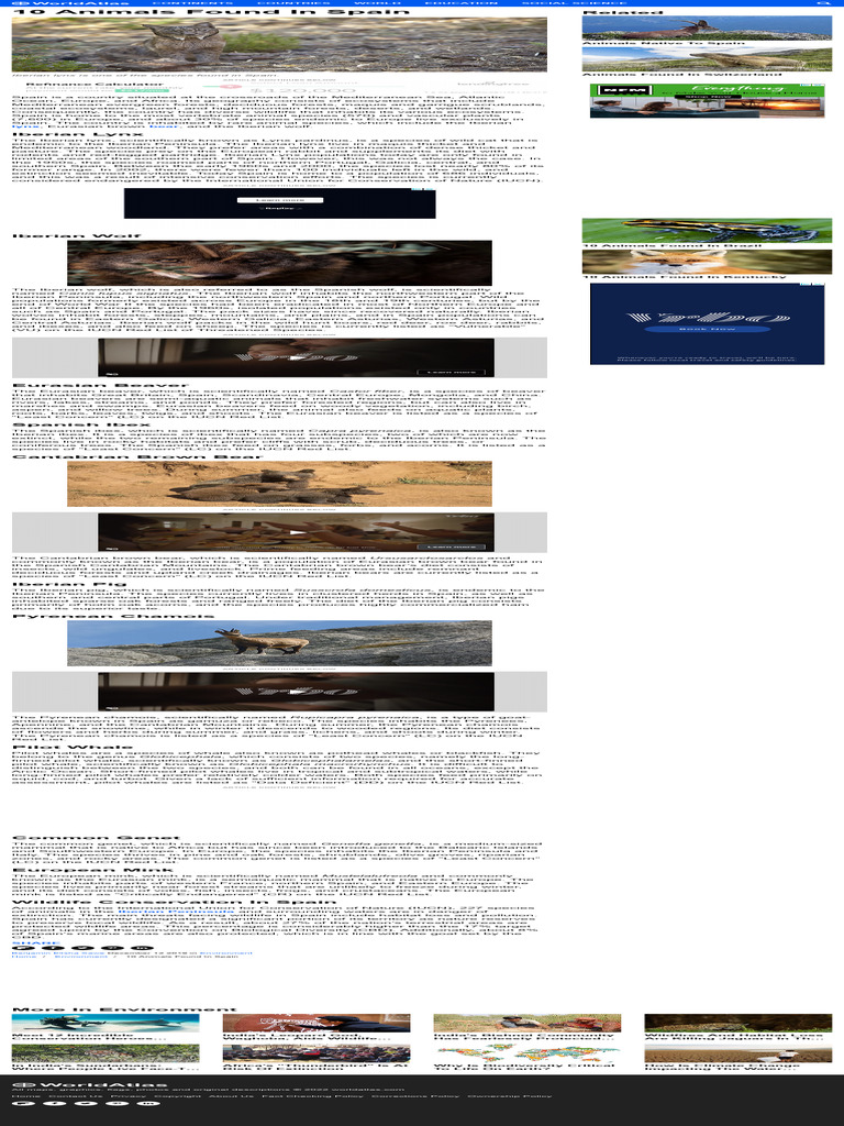 Native Animals of Spain | PDF