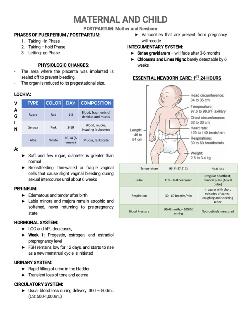 POSTPARTUM Mother and Newborn | PDF | Infants | Childbirth
