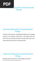 Mammalian Heart Dissection Guide | PDF | Heart Valve | Heart