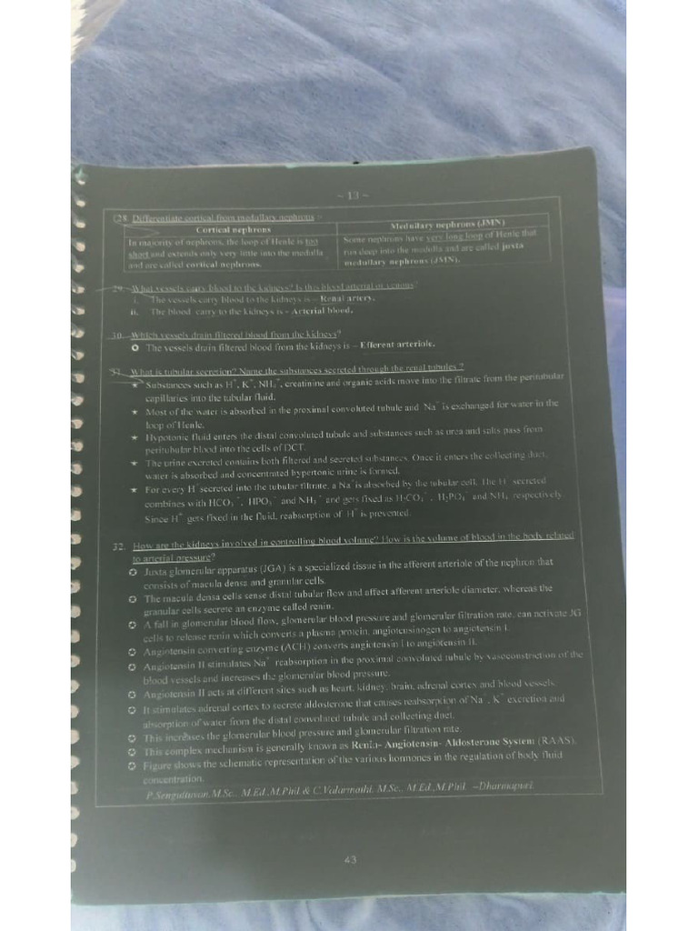 Image To PDF 20241102 17.31.21 | PDF