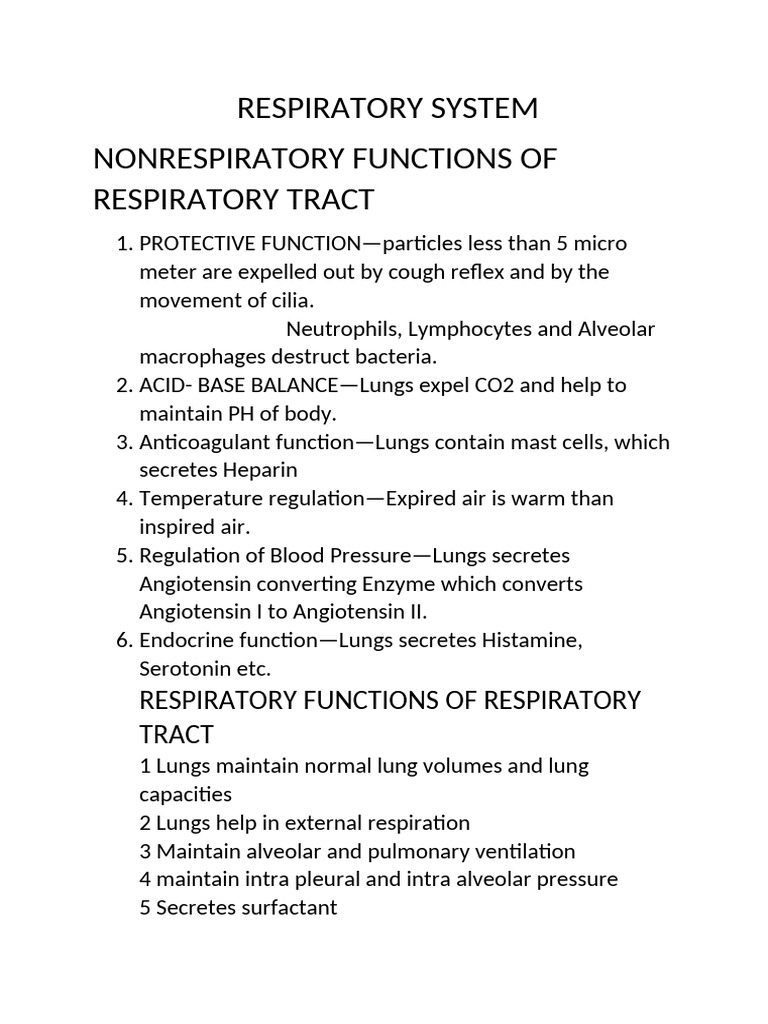Respiratory System | PDF | Lung | Respiratory System