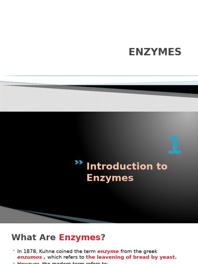Understanding Enzymes: Functions & Mechanisms | PDF | Enzyme Inhibitor | Enzyme