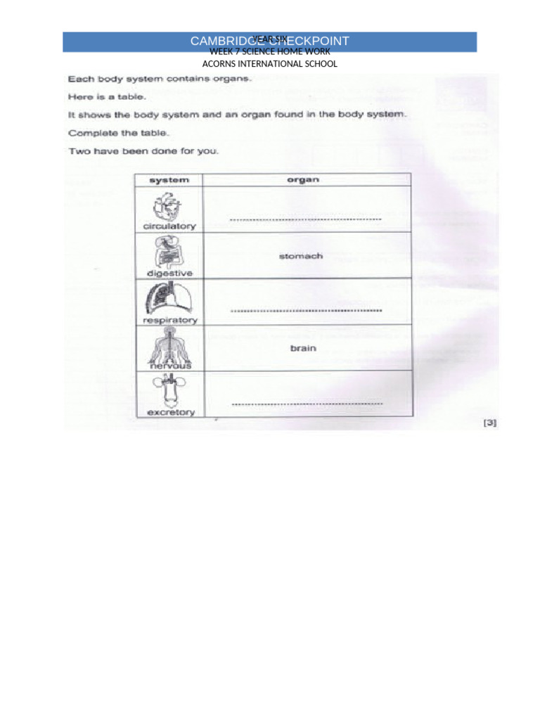 Year 6 Week 7 Science Homework | PDF