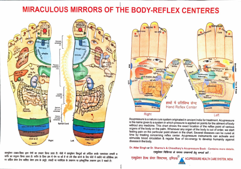 Body Reflex Centres | PDF