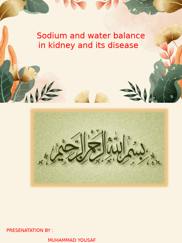 Kidney Sodium and Water Balance Explained | PDF | Chronic Kidney ...