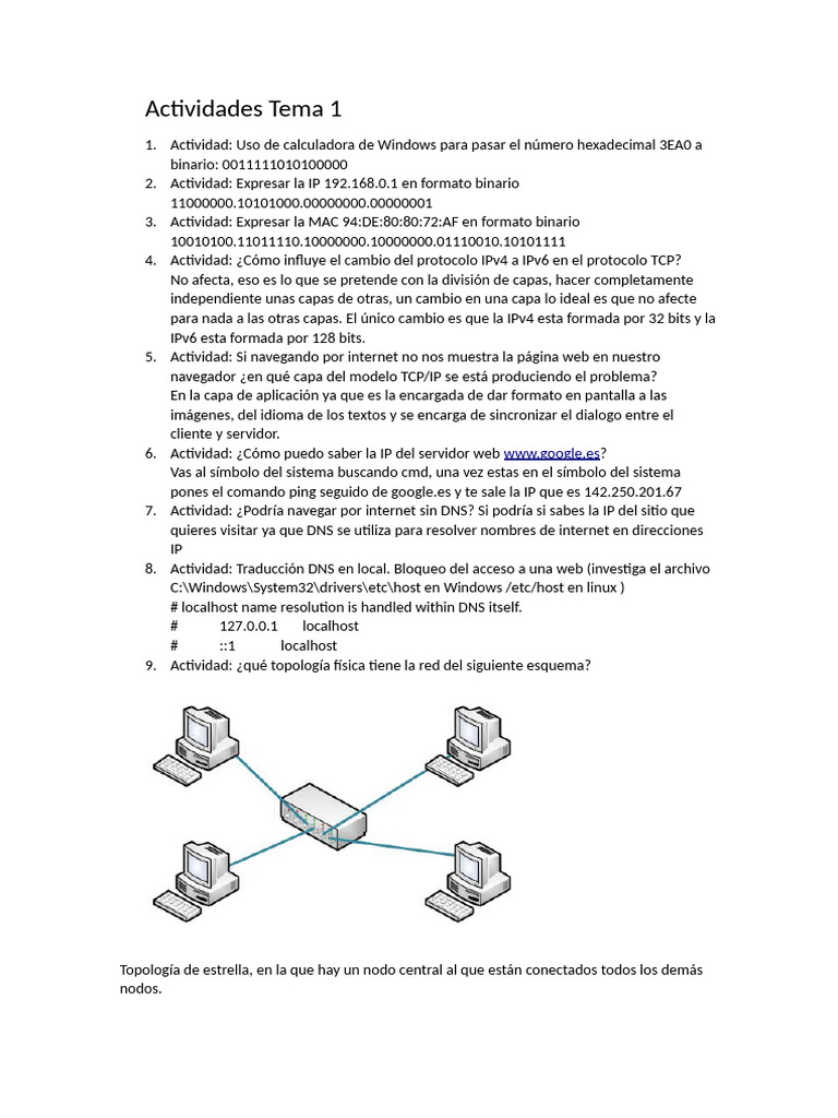 Actividades Tema 1 Redes Locales | PDF | Dirección IP | sistema de nombres de dominio