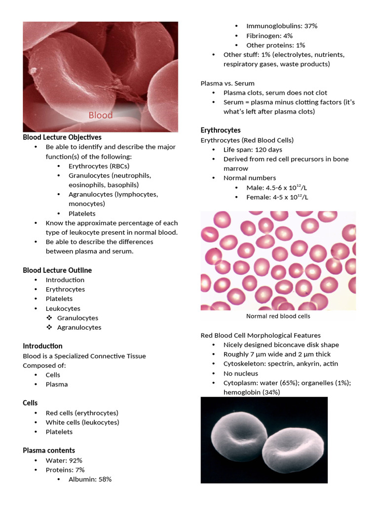 Blood Cell Types and Functions Explained | PDF | Granulocyte | White ...