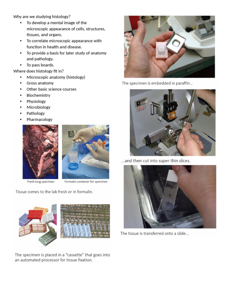 Introduction To Hstology Transes | PDF