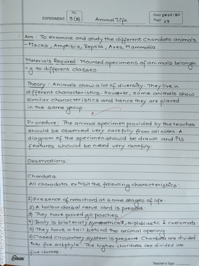 Grade IX- Biology- Experiment 3 B | PDF