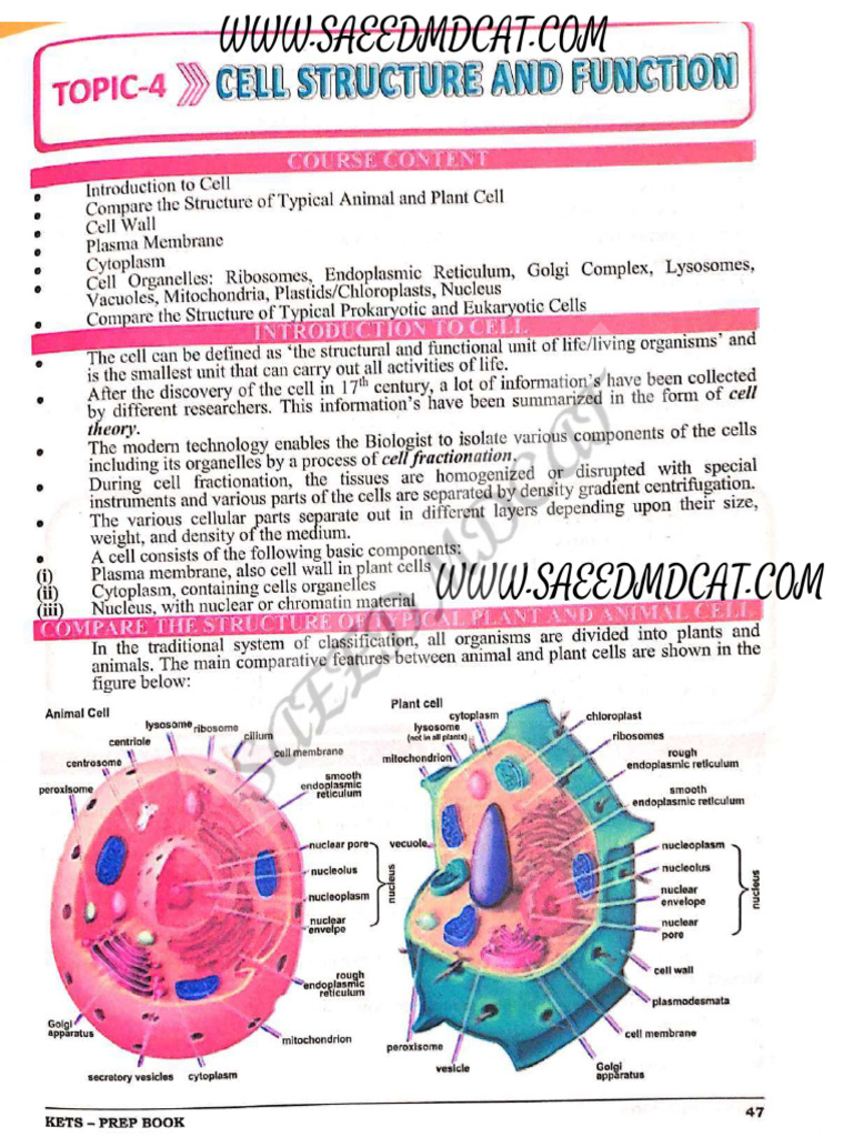 Cell Structure & Function KIPS | PDF