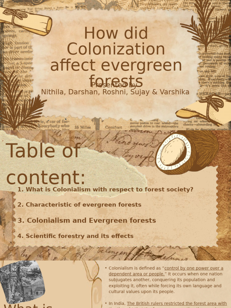 How Did Colonization Affect Evergreen Forests: Presented by Nithila ...