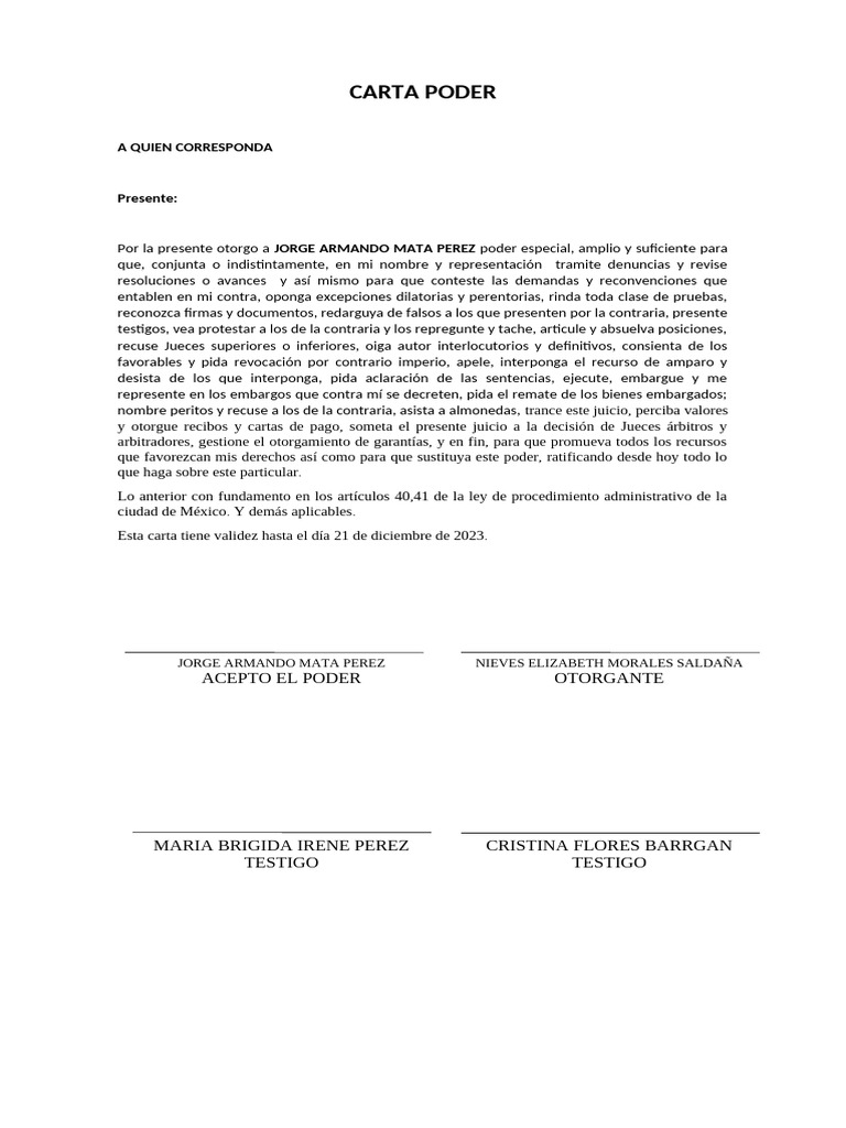 CARTA PODER para Vuelo | PDF