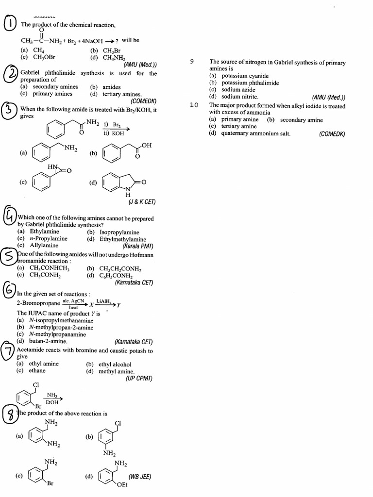 Amines 1 | PDF