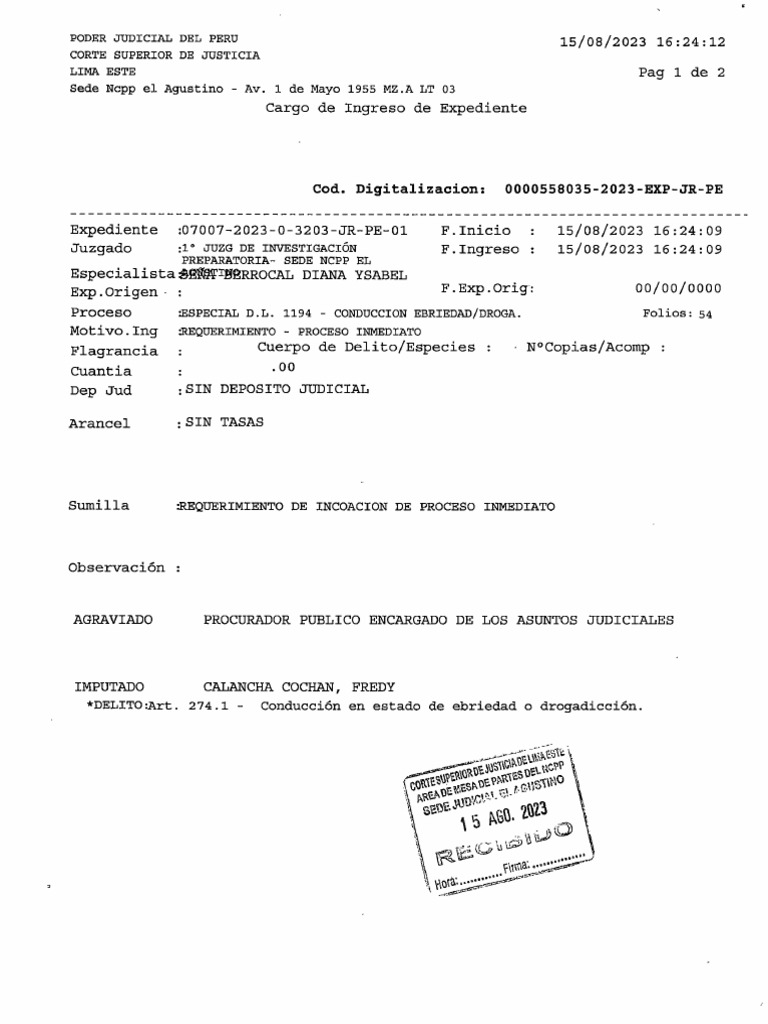 7007-2023 Requerimiento | PDF | Fiscal | Documento de identidad