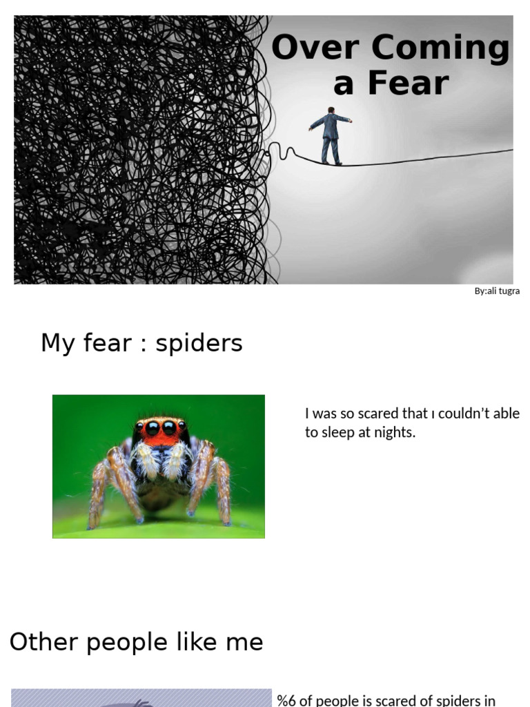 Spider Phobia English | PDF
